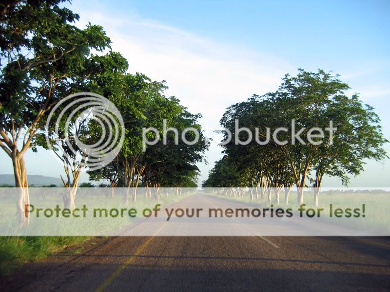 Estradas de Moçambique | SkyscraperCity Forum