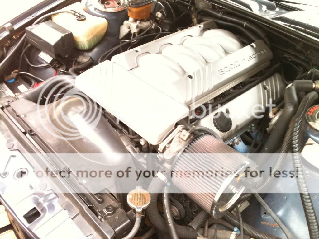 '89 vn bt1 5l | Just Commodores